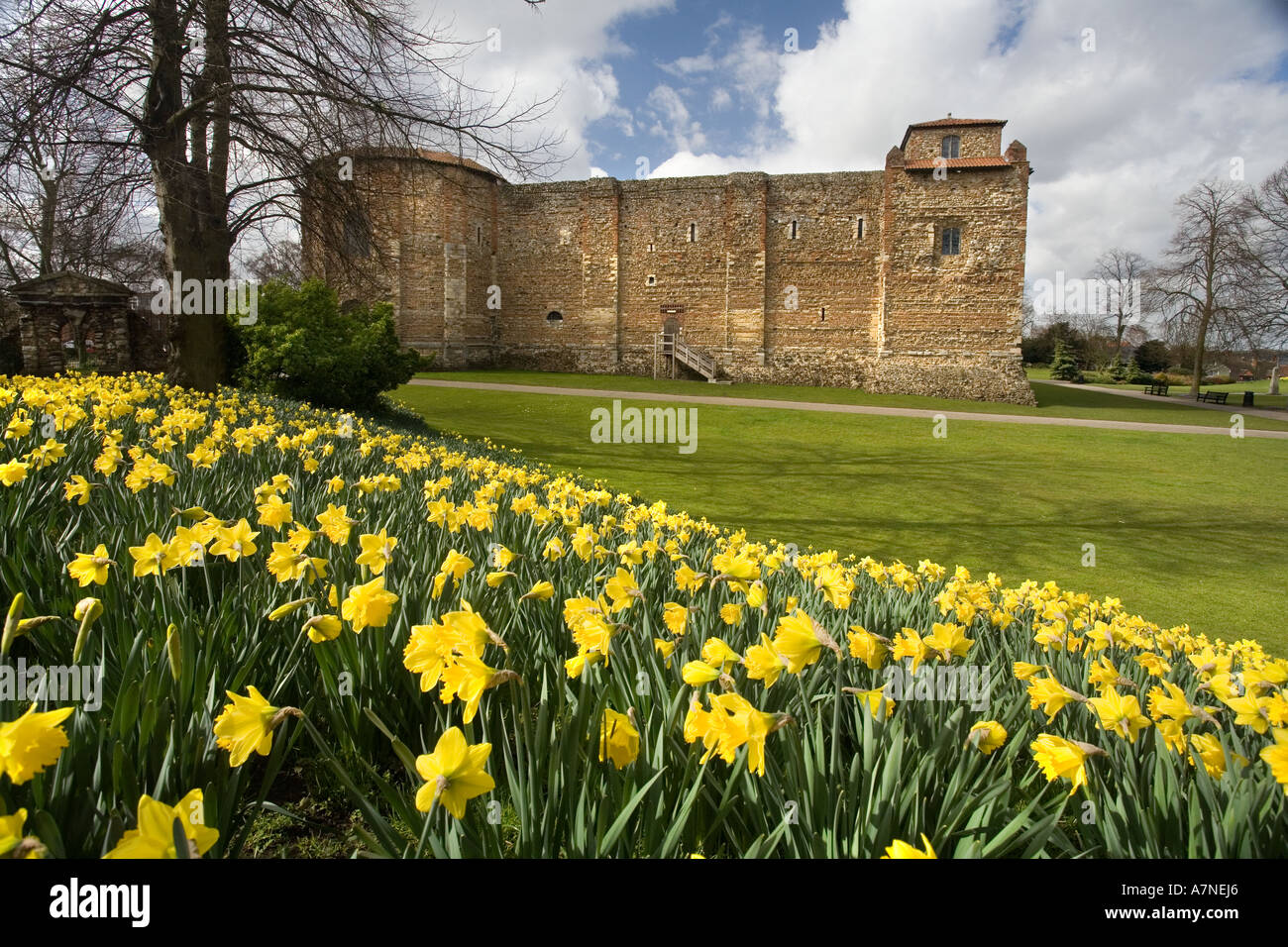 colchester castle park in the spring. Colchester Castle in britains ...