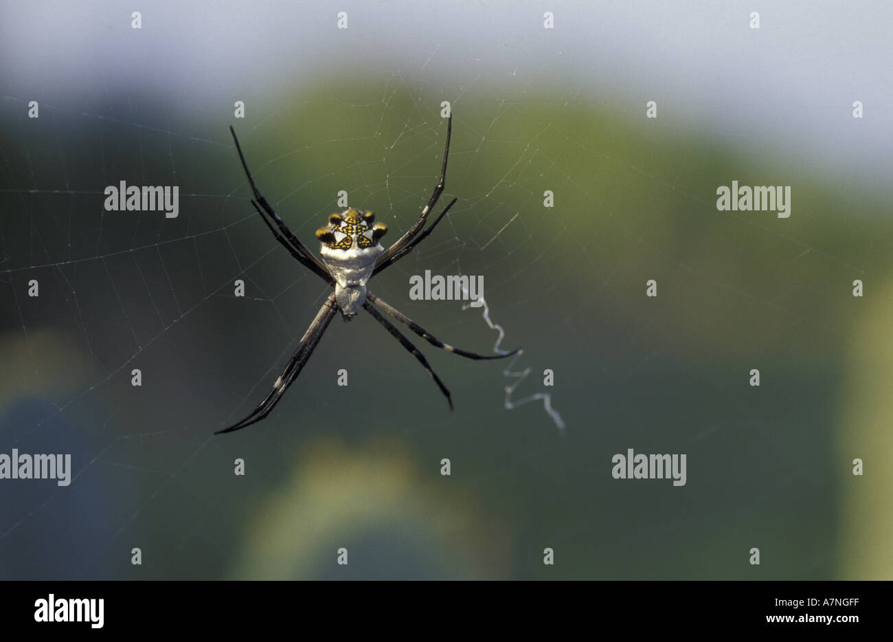 Rio grande na hi-res stock photography and images - Alamy