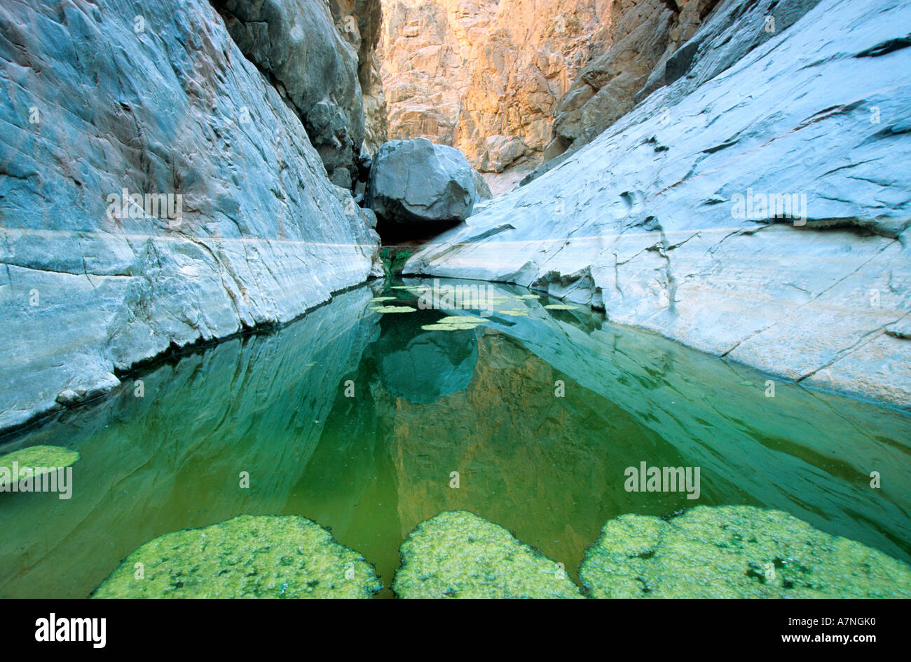 Egypt green hi-res stock photography and images - Alamy