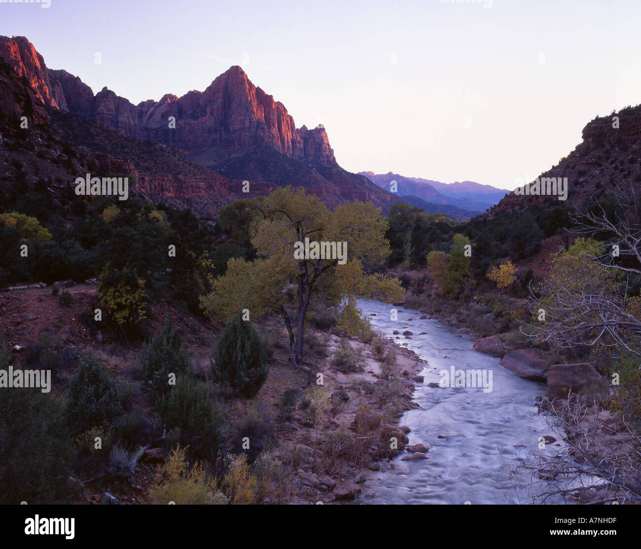 The Watchman looms over the Virgin River at sunset, Zion National Park ...