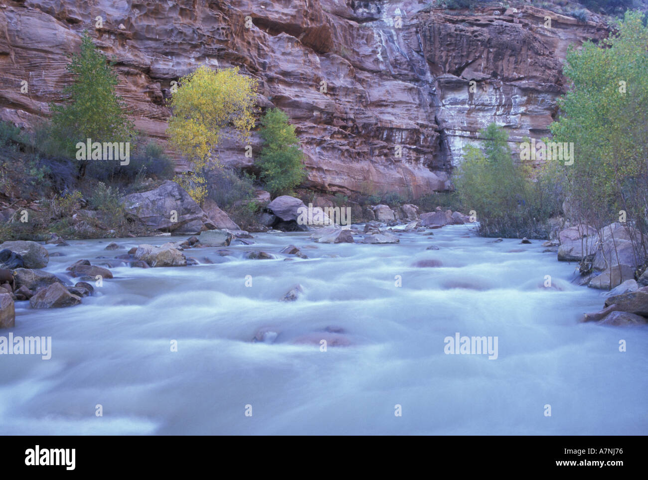 North America, USA, Utah, Zion National Park. Virgin River at the ...