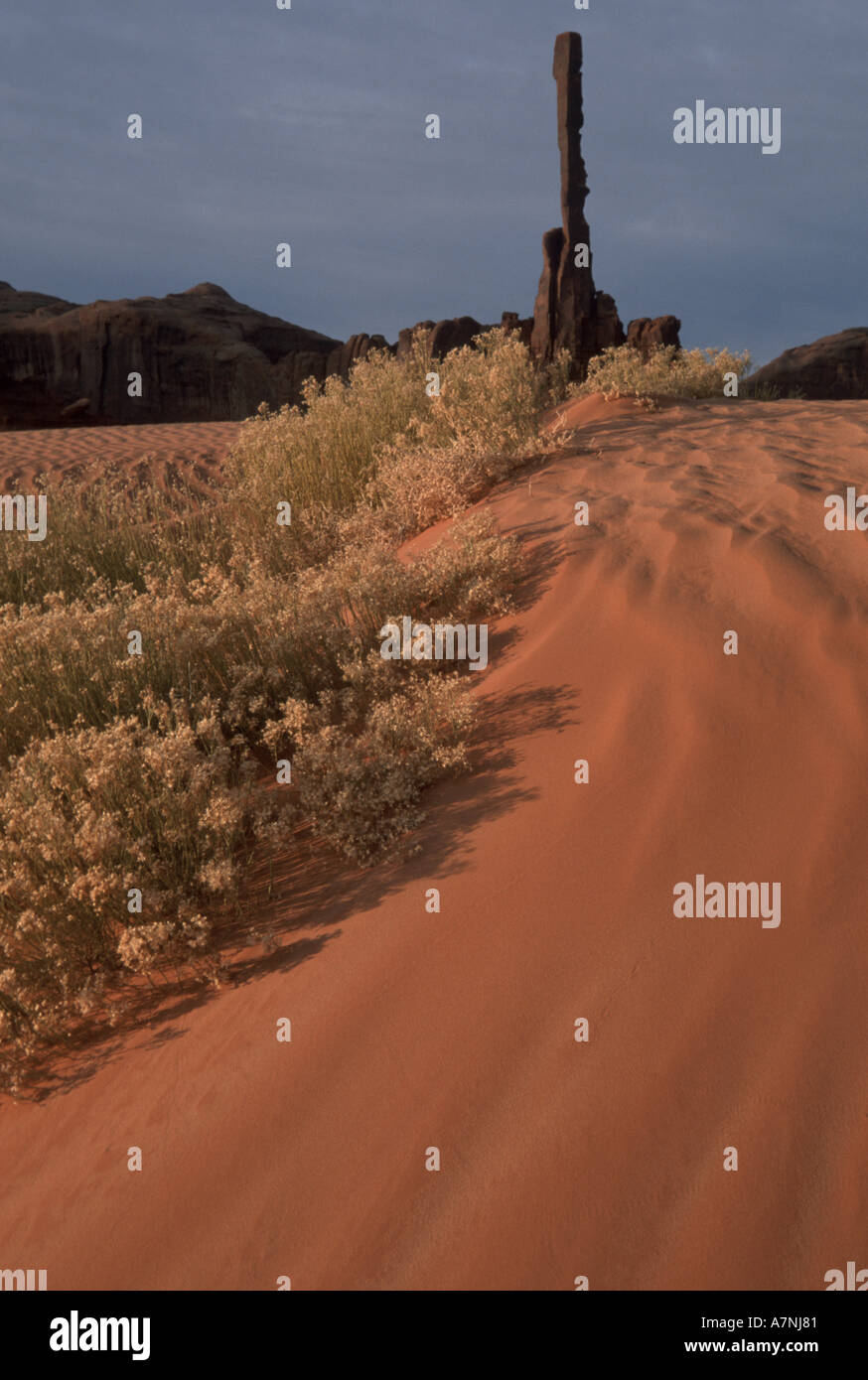 S a pole life hi-res stock photography and images - Alamy