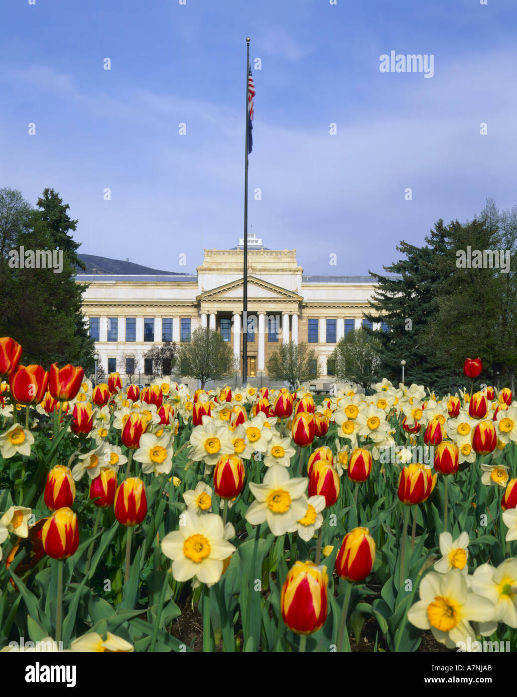 UTAH. USA. Spring flowers & John Park Building (built 1914). President ...