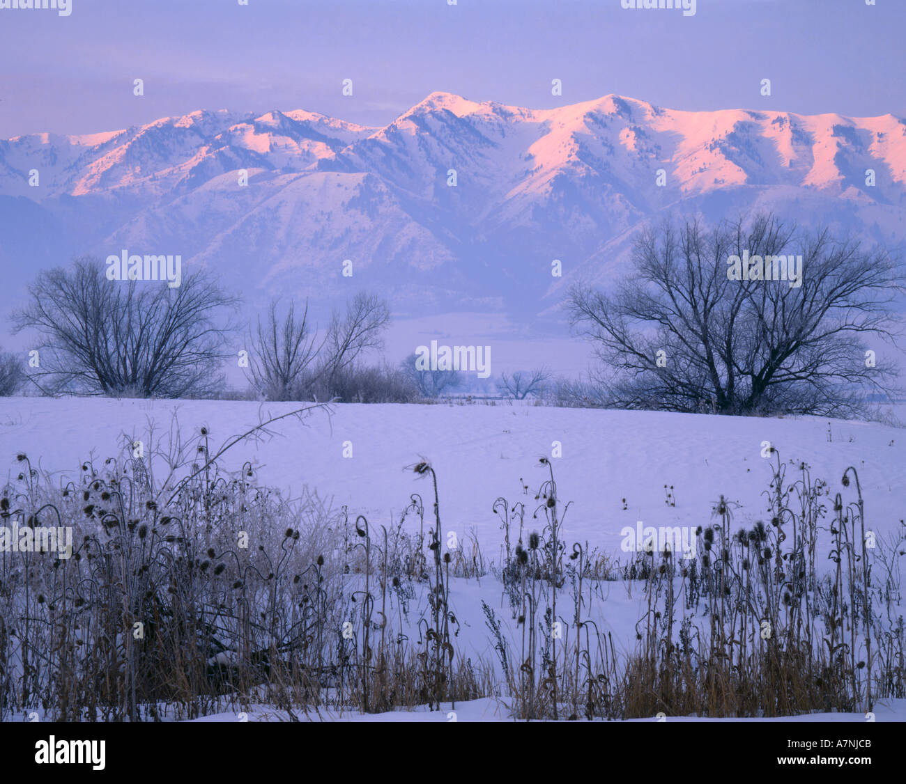 Wellsville range hi-res stock photography and images - Alamy