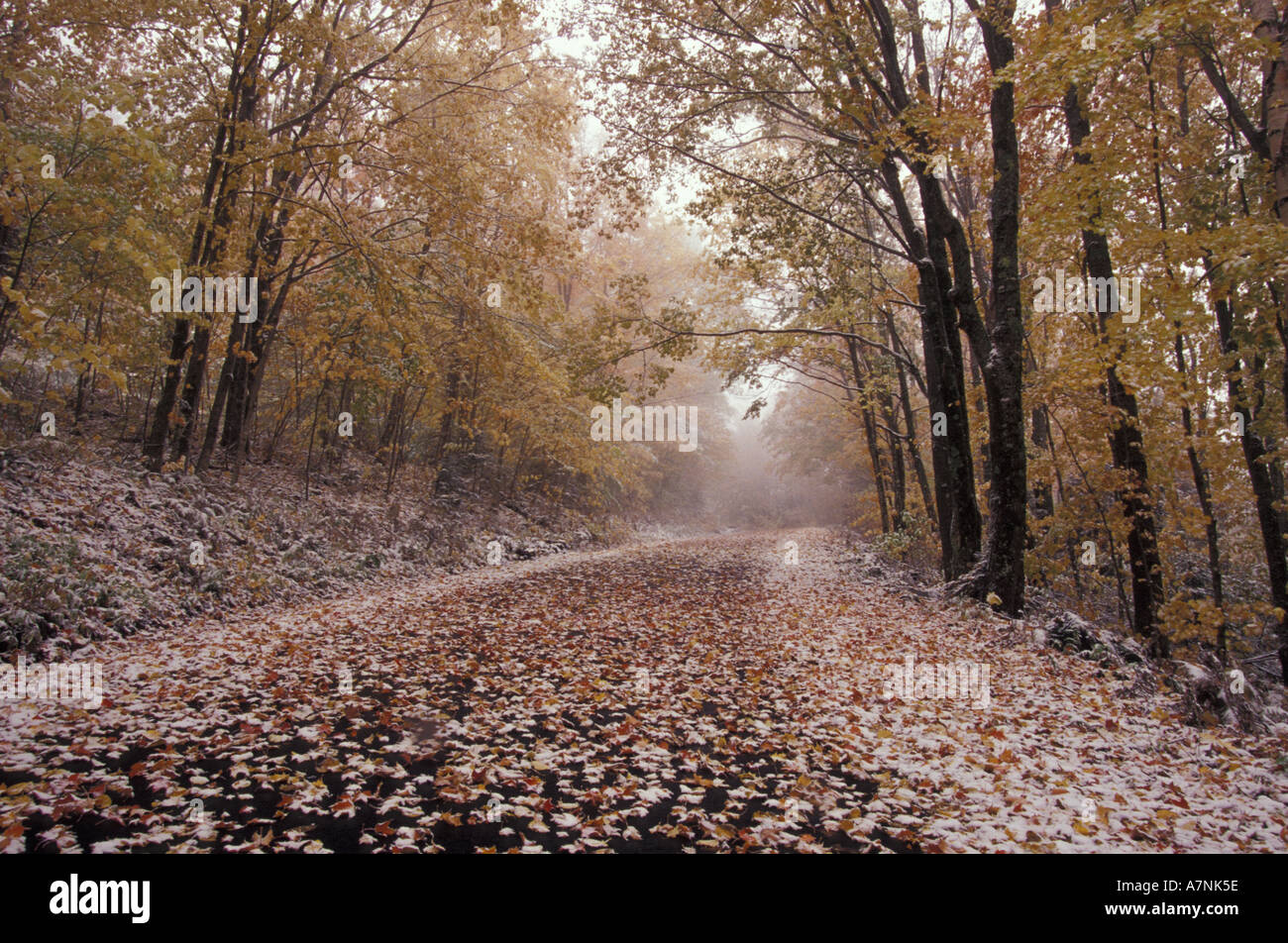 East burke hi-res stock photography and images - Alamy