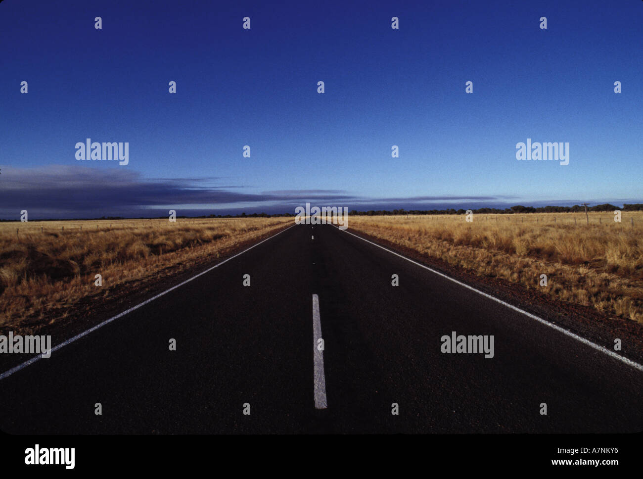 Australia, Queensland, road in the bush Stock Photo - Alamy