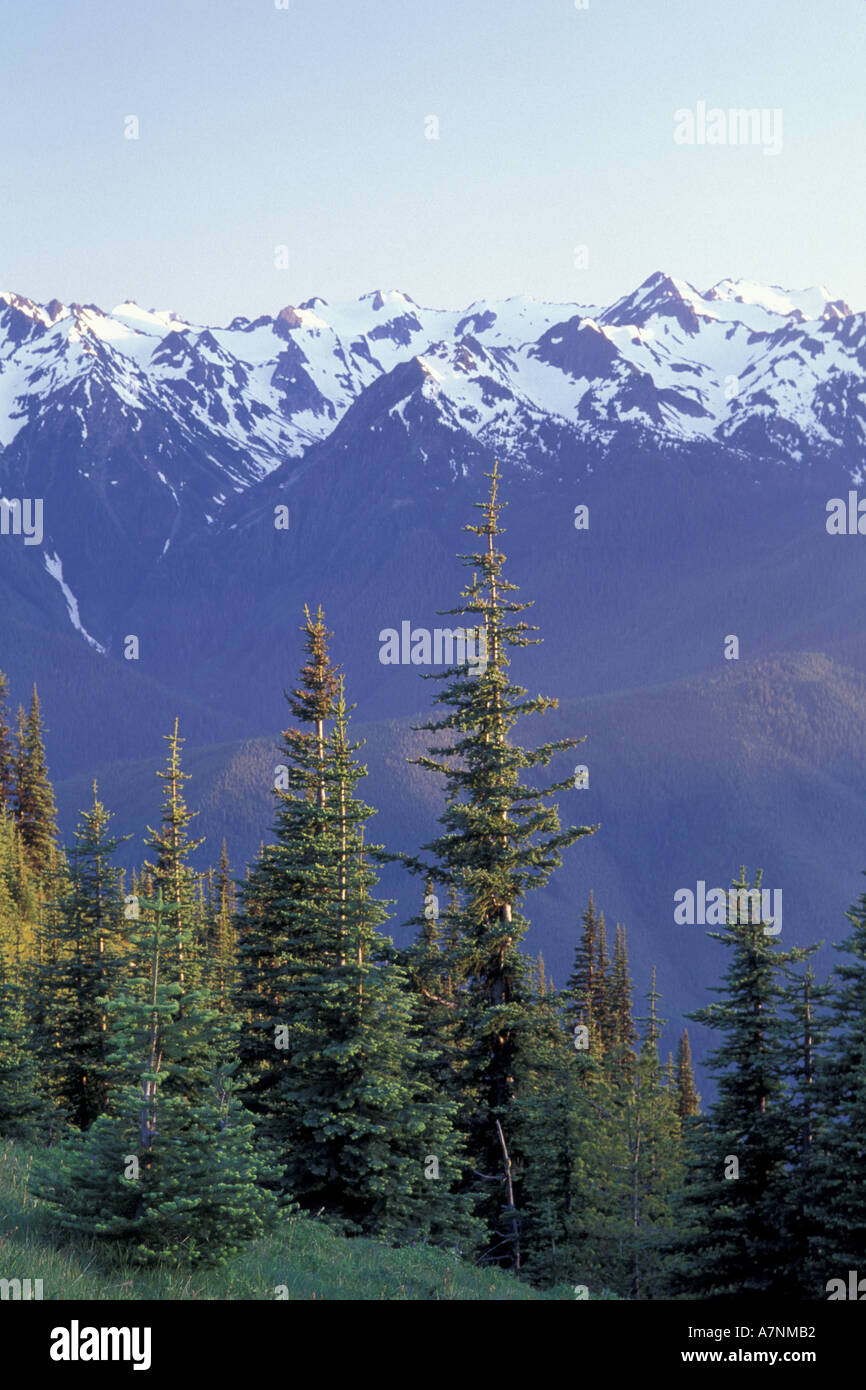 Olympic bailey range mountains hi-res stock photography and images - Alamy