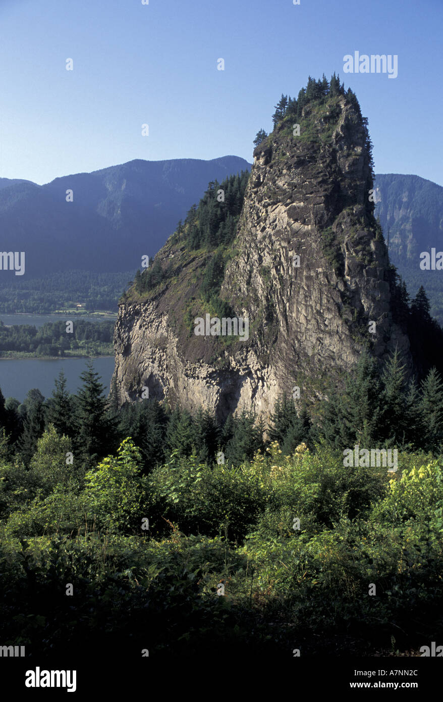 Stevenson wa hi-res stock photography and images - Alamy