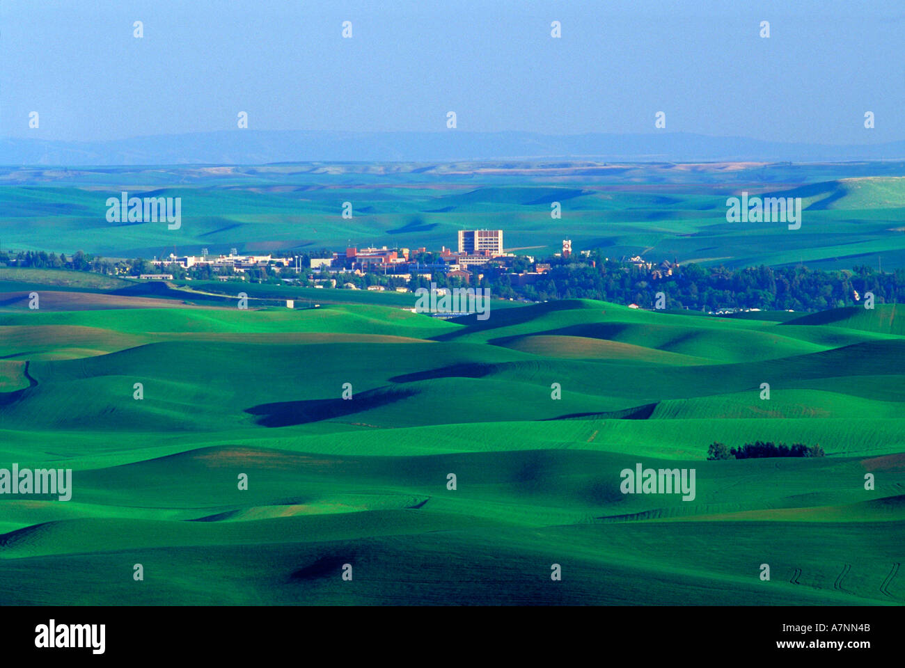 The Washington State University Campus taken from Kamiak Butte in May ...