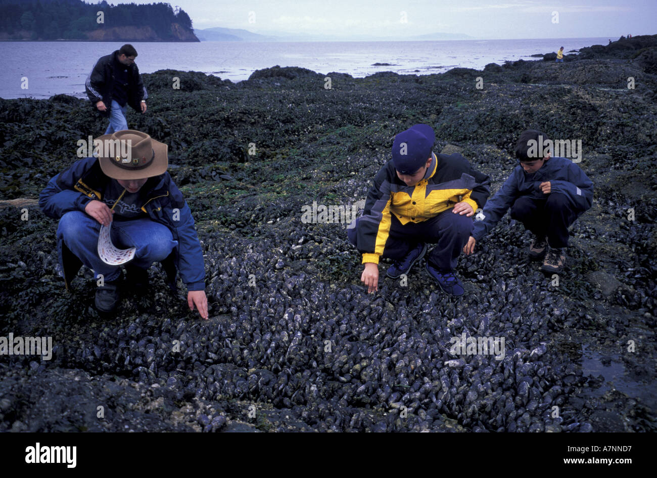 Student teacher group observe hi-res stock photography and images - Alamy