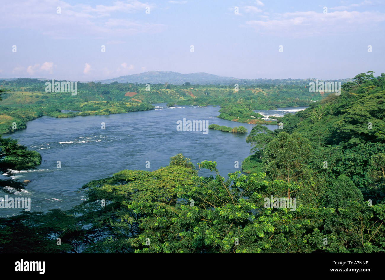 River Nile, near Jinja, Uganda Stock Photo - Alamy