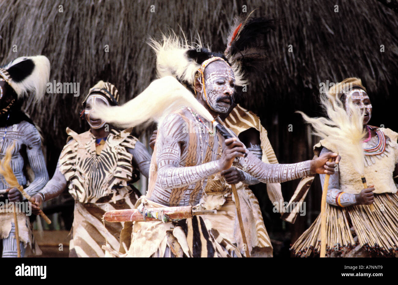 Kikuyu hi-res stock photography and images - Alamy