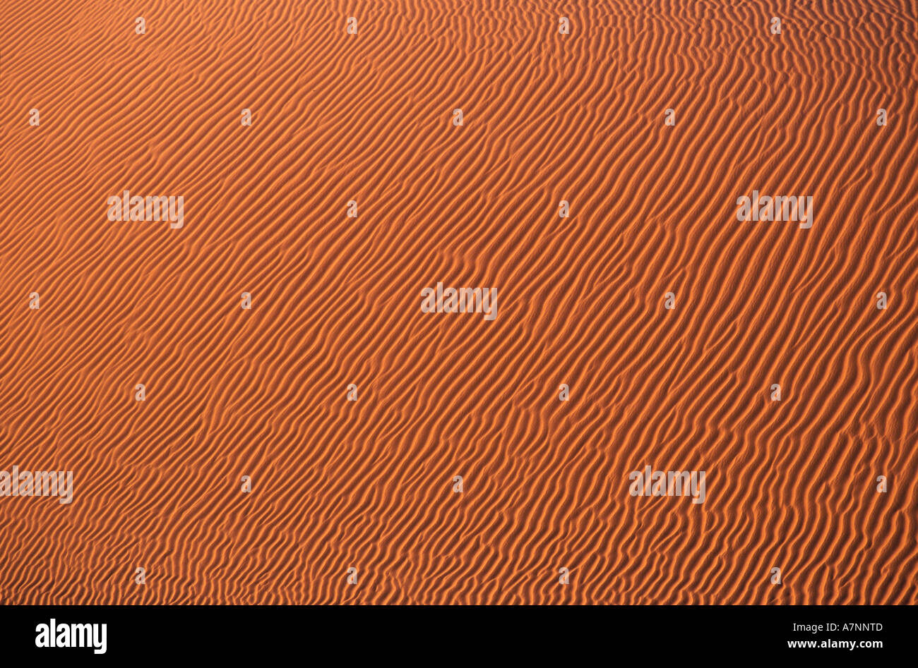 Chad africa desert sand dunes hi-res stock photography and images - Alamy