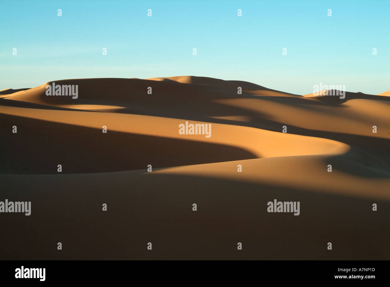 Idehan Ubari sand sea at sunset, Sahara Desert, Libya Stock Photo - Alamy