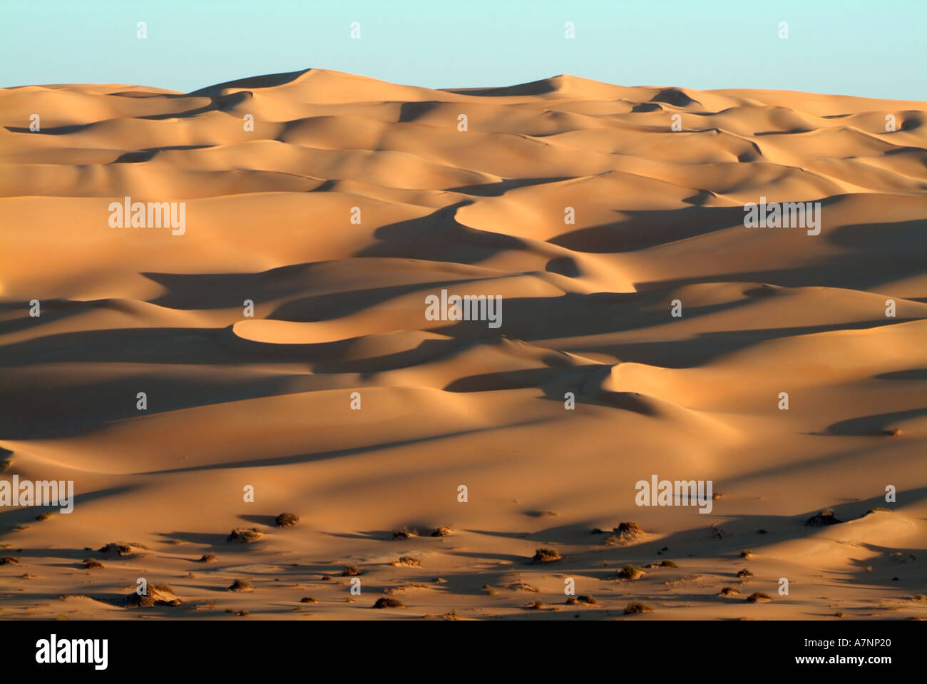 Idehan Ubari sand sea at sunset, Sahara Desert, Libya Stock Photo - Alamy