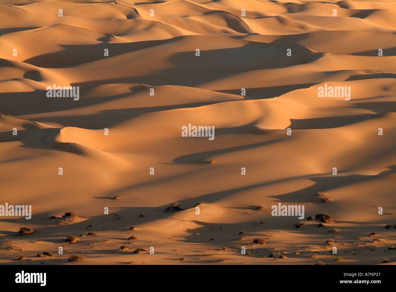 Colored coloured dawn desert dry hi-res stock photography and images ...