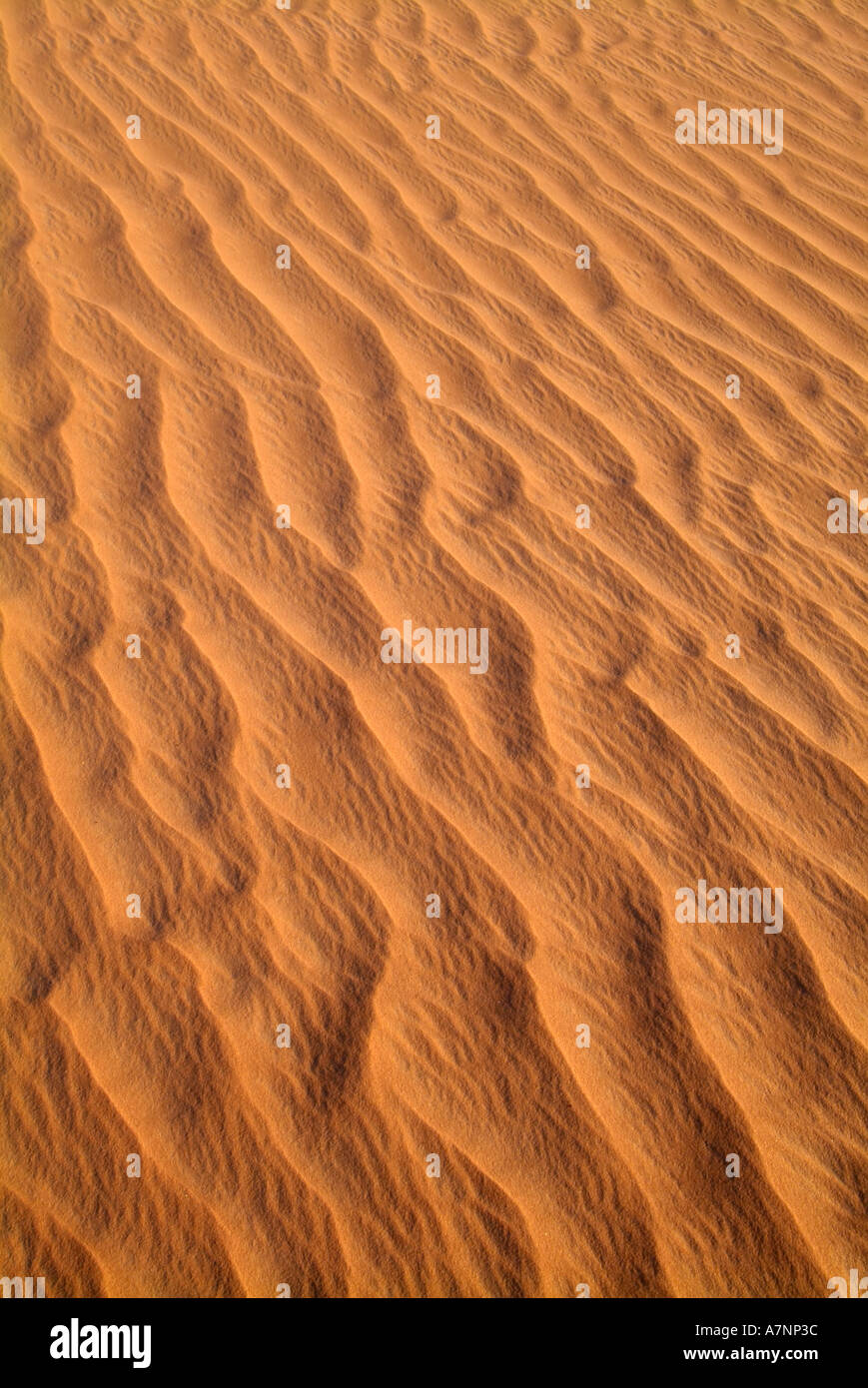 Ripples in the sand, Idehan Ubari sand sea, Sahara Desert, Libya Stock ...