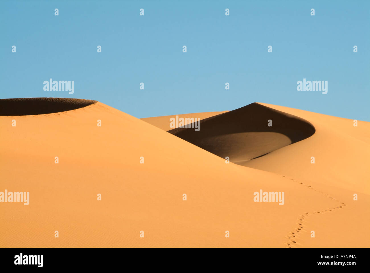 Northern africa dunes at sunrise hi-res stock photography and images ...