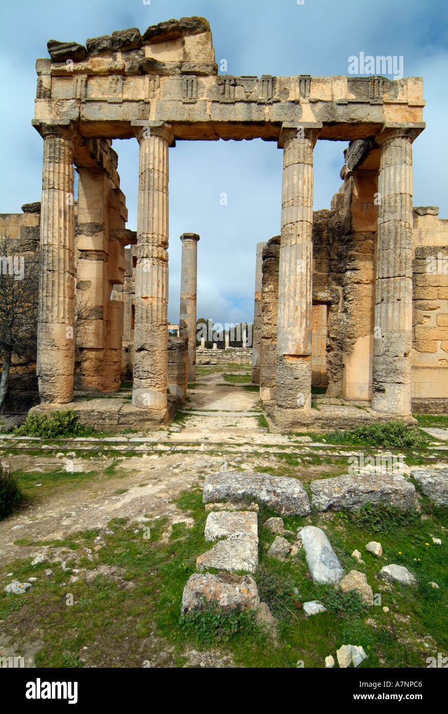 Gymnasium (Roman Forum), Cyrene Greek / Roman ruins, Libya Stock Photo ...