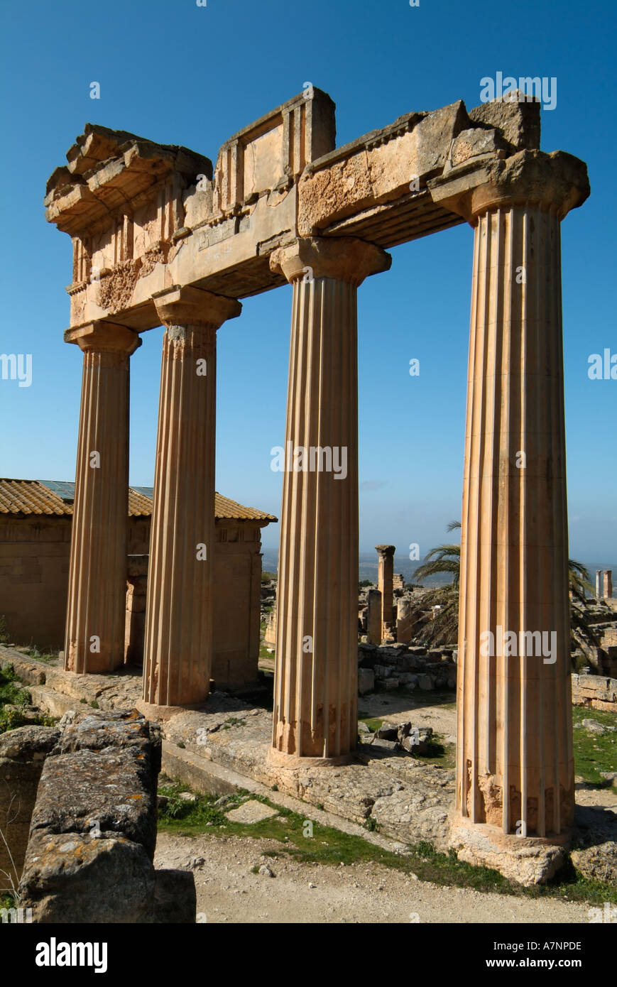 Apollo Of Cyrene High Resolution Stock Photography and Images - Alamy