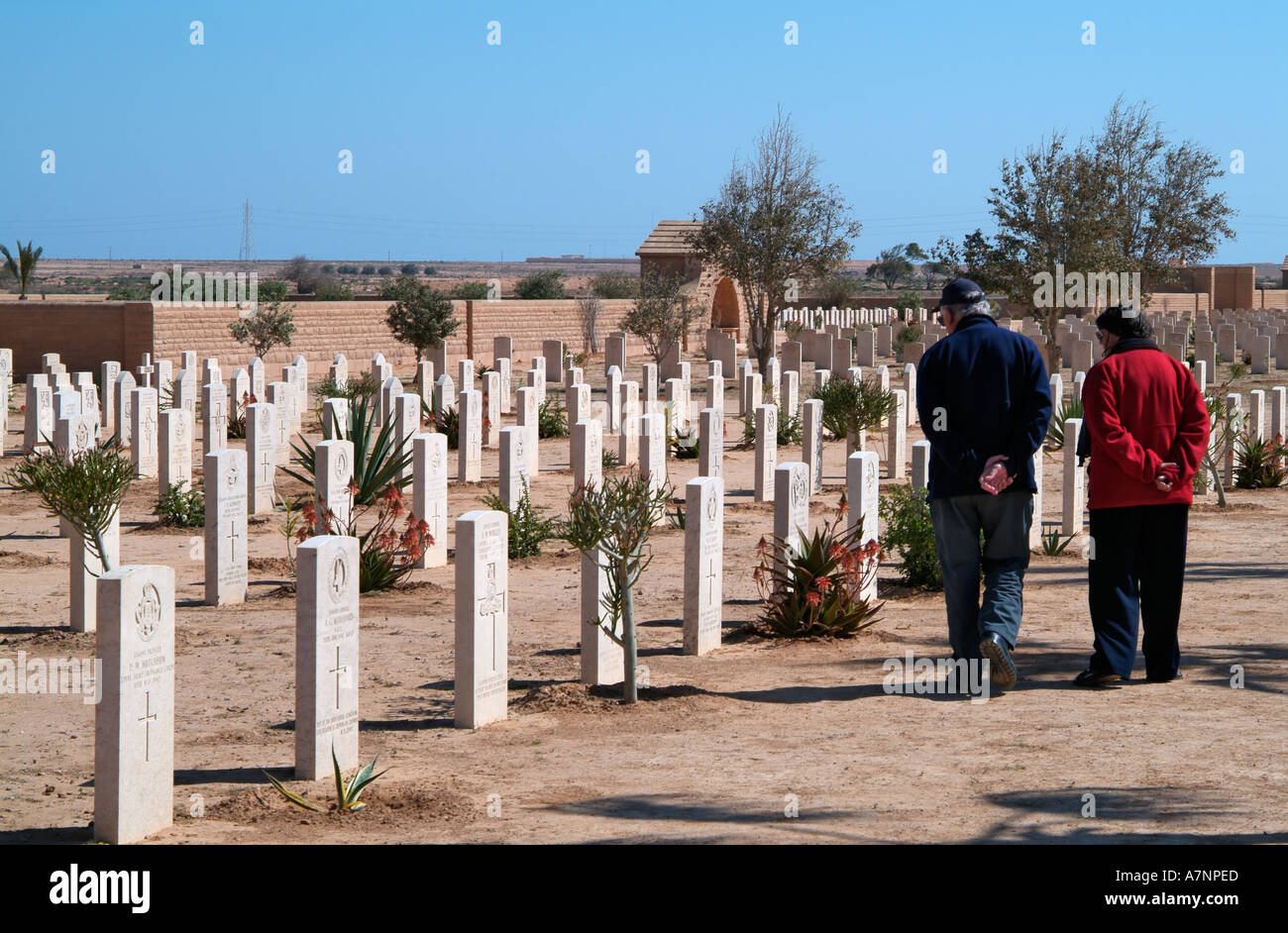 Tobruk (Commonwealth) War Cemetery, Tobruk, Libya Stock Photo - Alamy Tobruk (Commonwealth) War Cemetery, Tobruk, Libya Stock Photo - Alamy