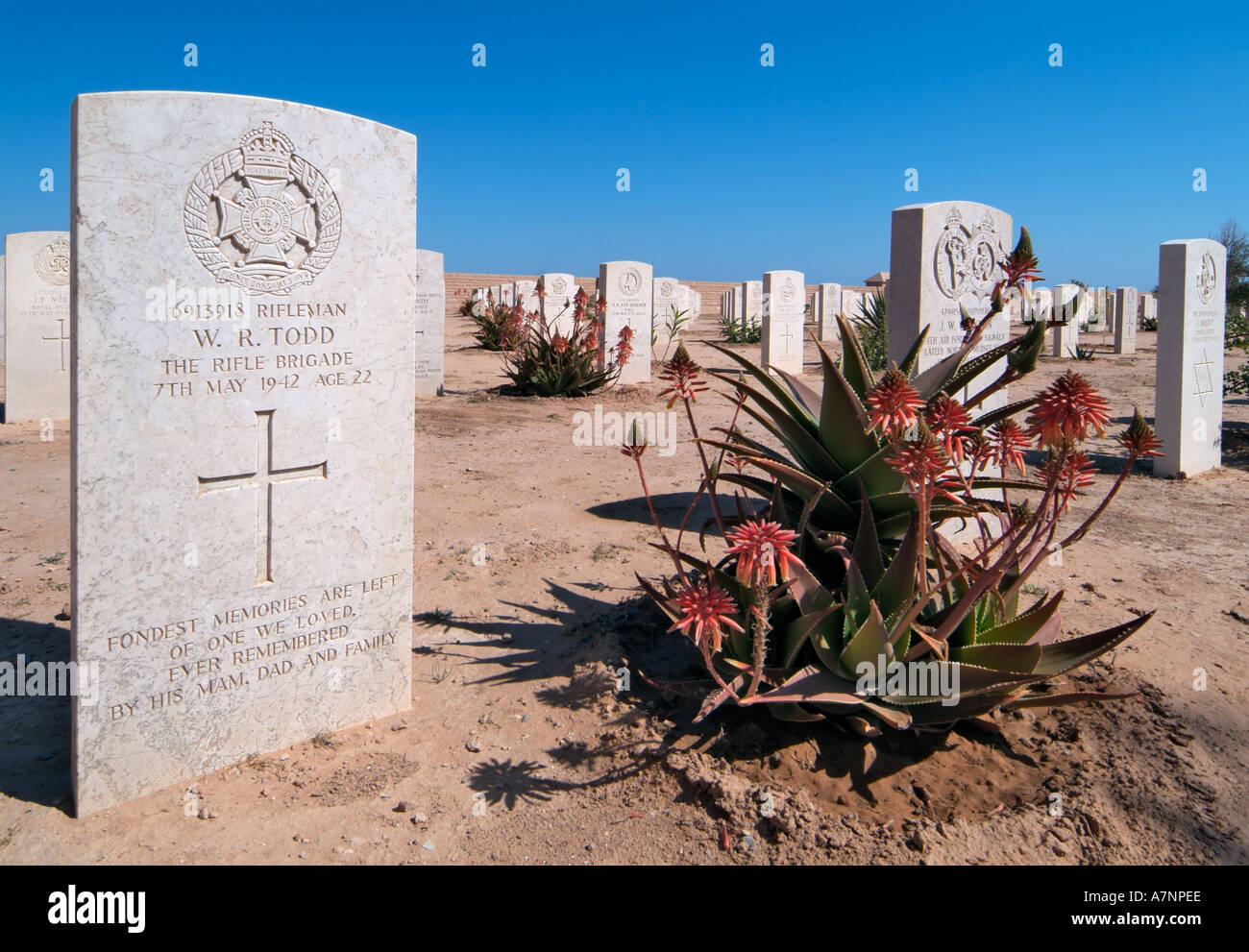 Tobruk High Resolution Stock Photography and Images - Alamy