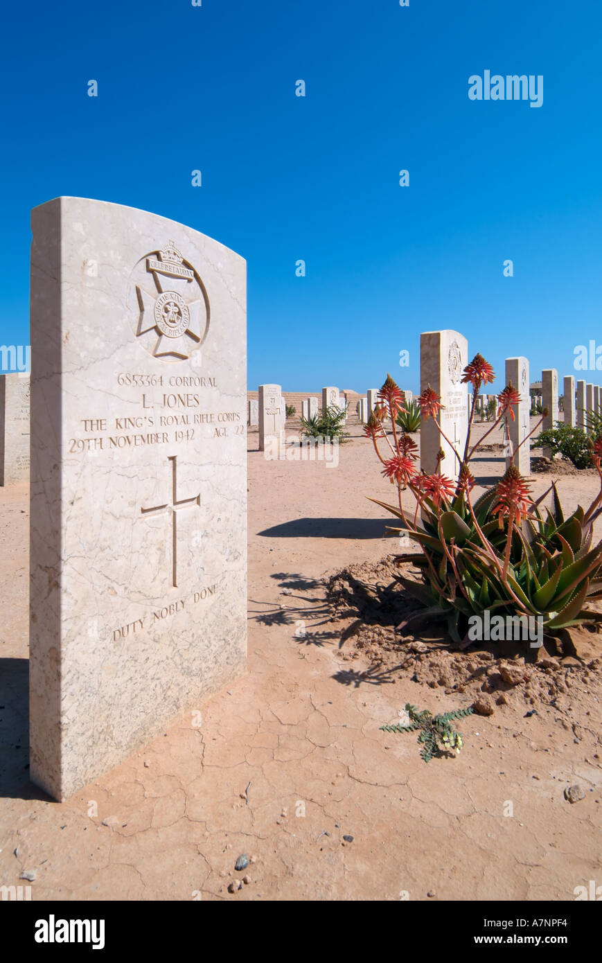 Tobruk (Commonwealth) War Cemetery, Tobruk, Libya Stock Photo - Alamy Tobruk (Commonwealth) War Cemetery, Tobruk, Libya Stock Photo - Alamy
