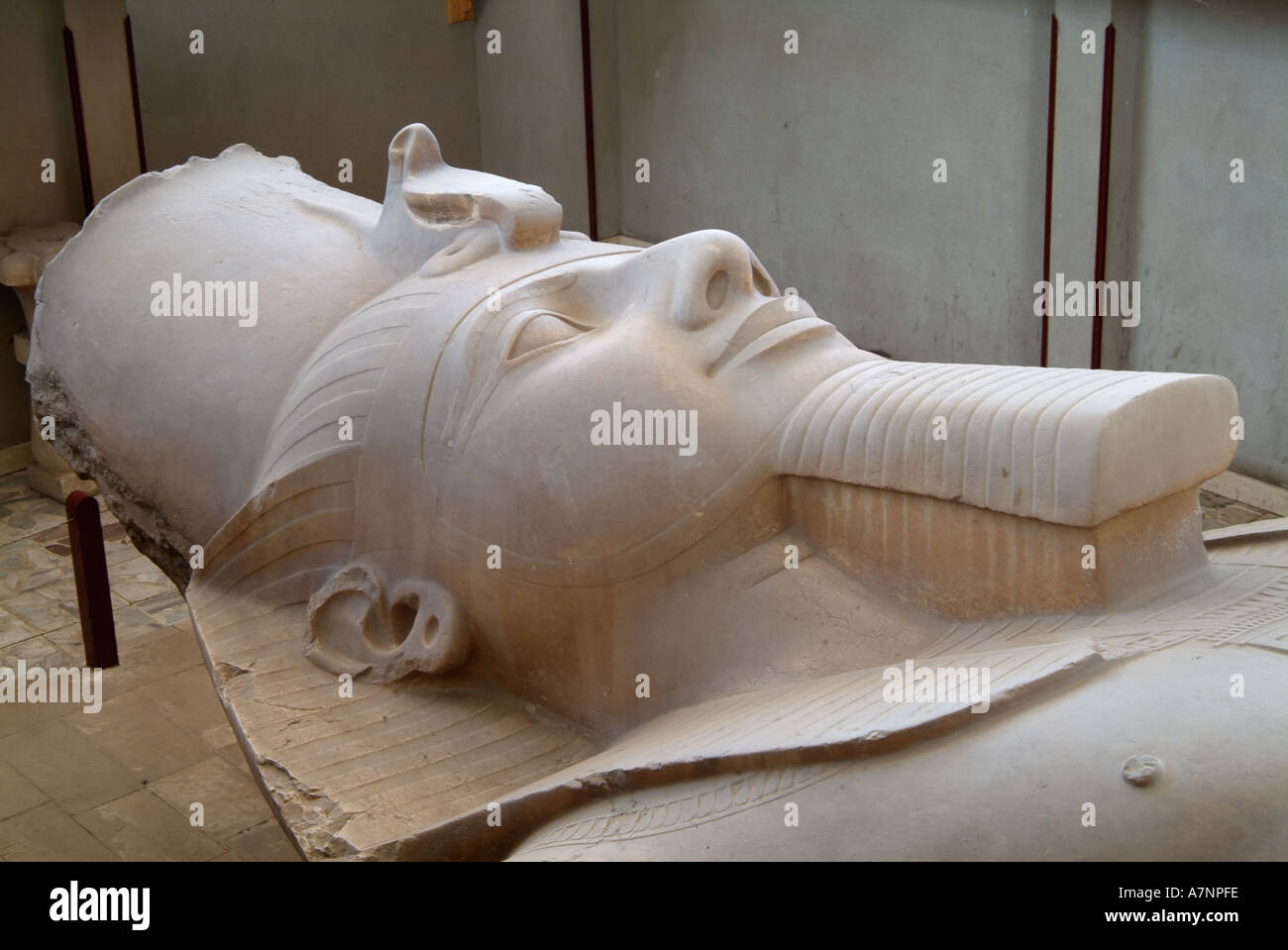 Colossus statue of Ramses II, Memphis, Egypt Stock Photo - Alamy
