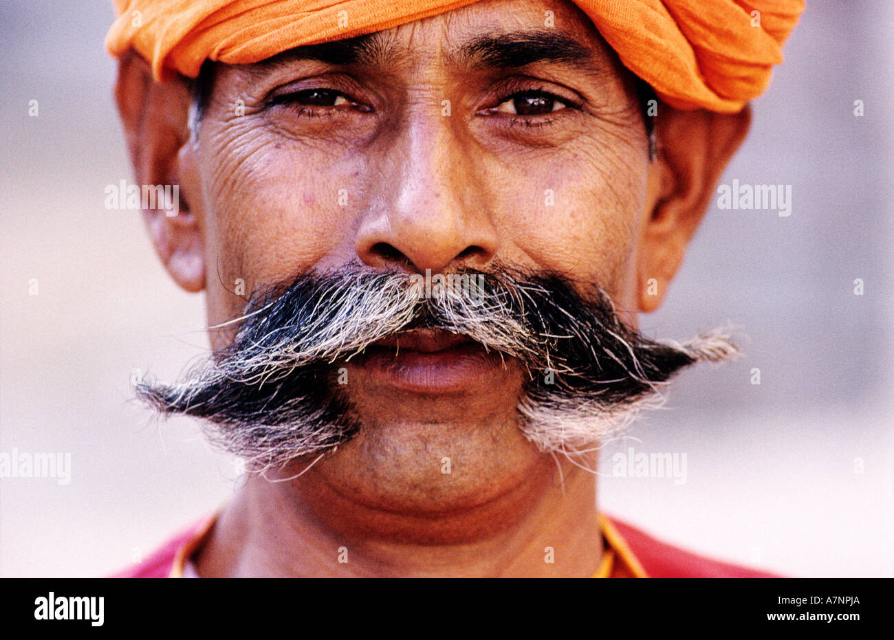India, Rajasthan, Samode region Stock Photo - Alamy
