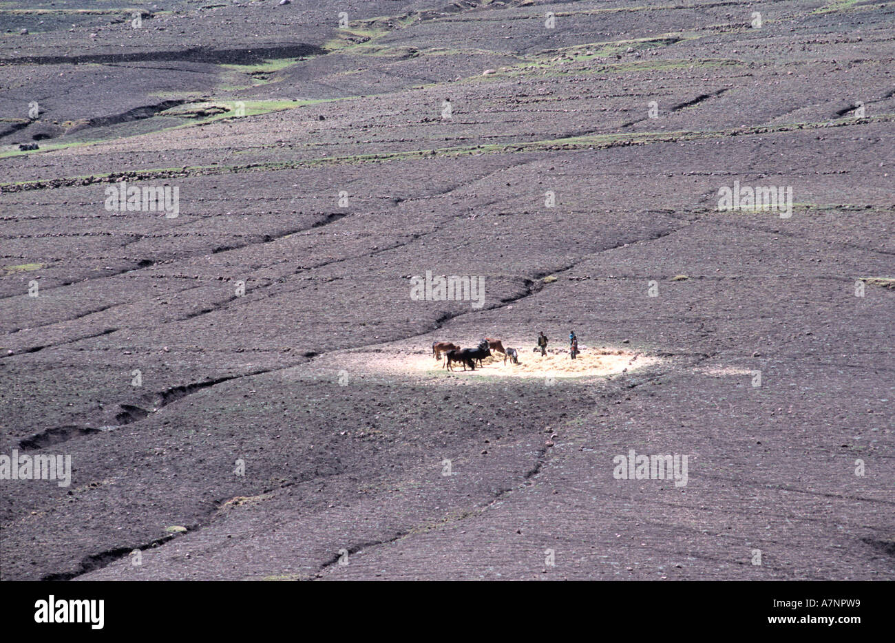 Ethiopia wollo region valley hi-res stock photography and images - Alamy
