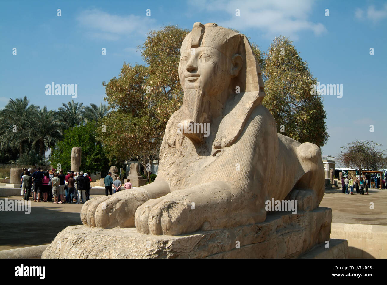 Alabaster statue of the Sphinx, Memphis, Egypt Stock Photo - Alamy