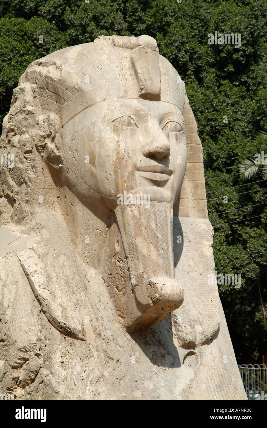 The sphinx of memphis hi-res stock photography and images - Alamy