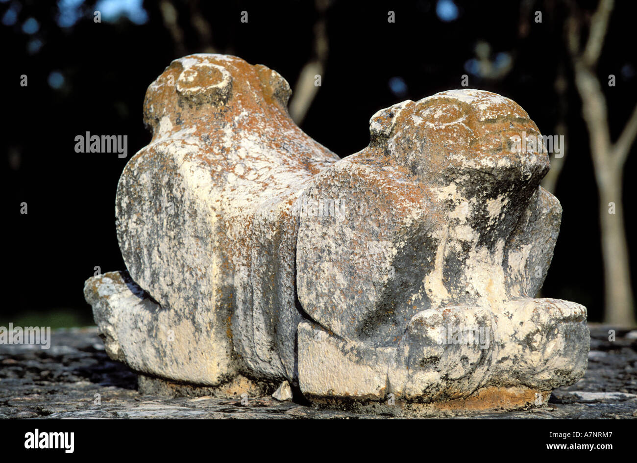 Mexico, Yucatan State, Uxmal Mayan temple, turtles house symbol Stock ...
