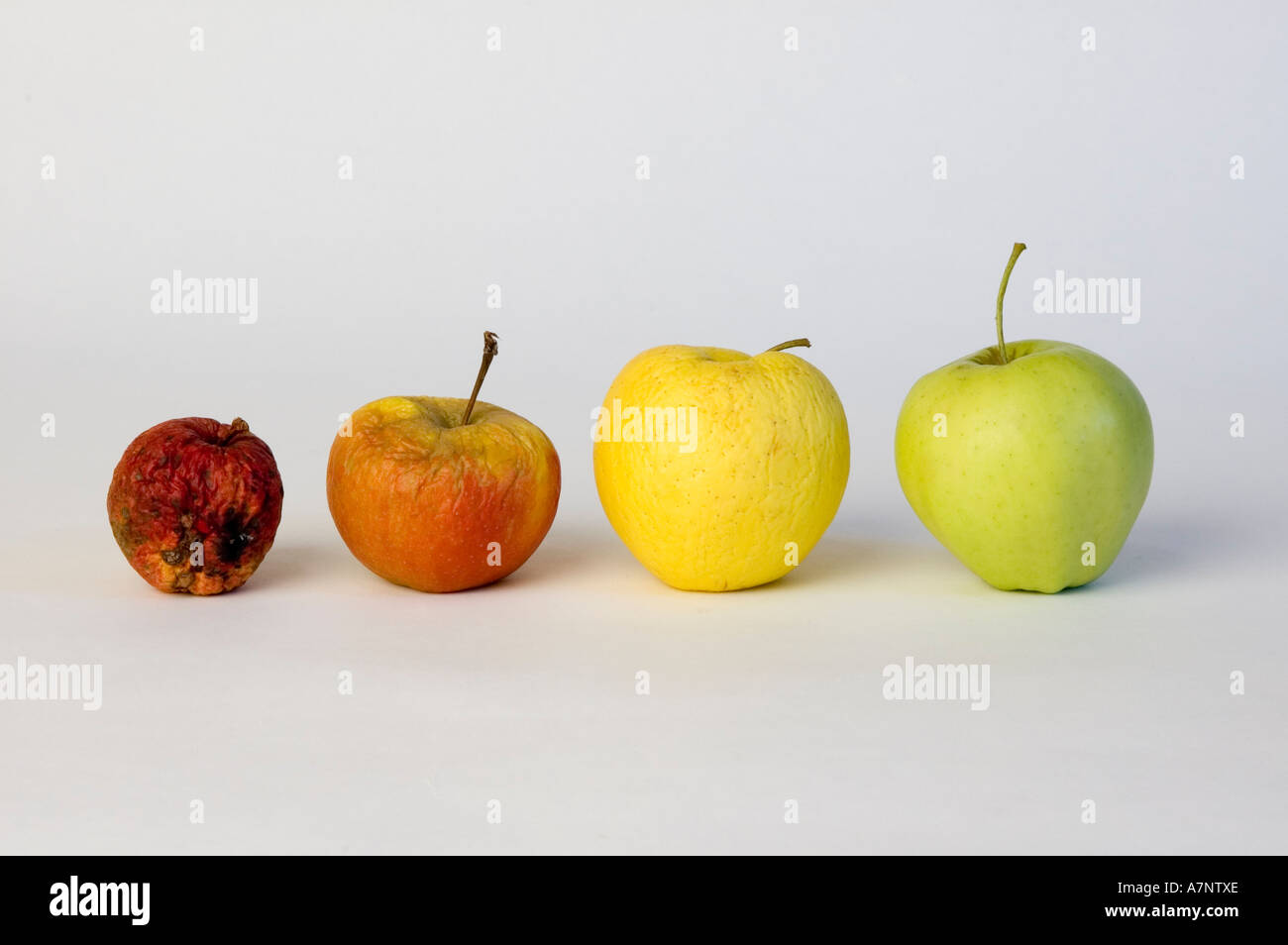 Rotting fruits process spoiling rotten hi-res stock photography and ...