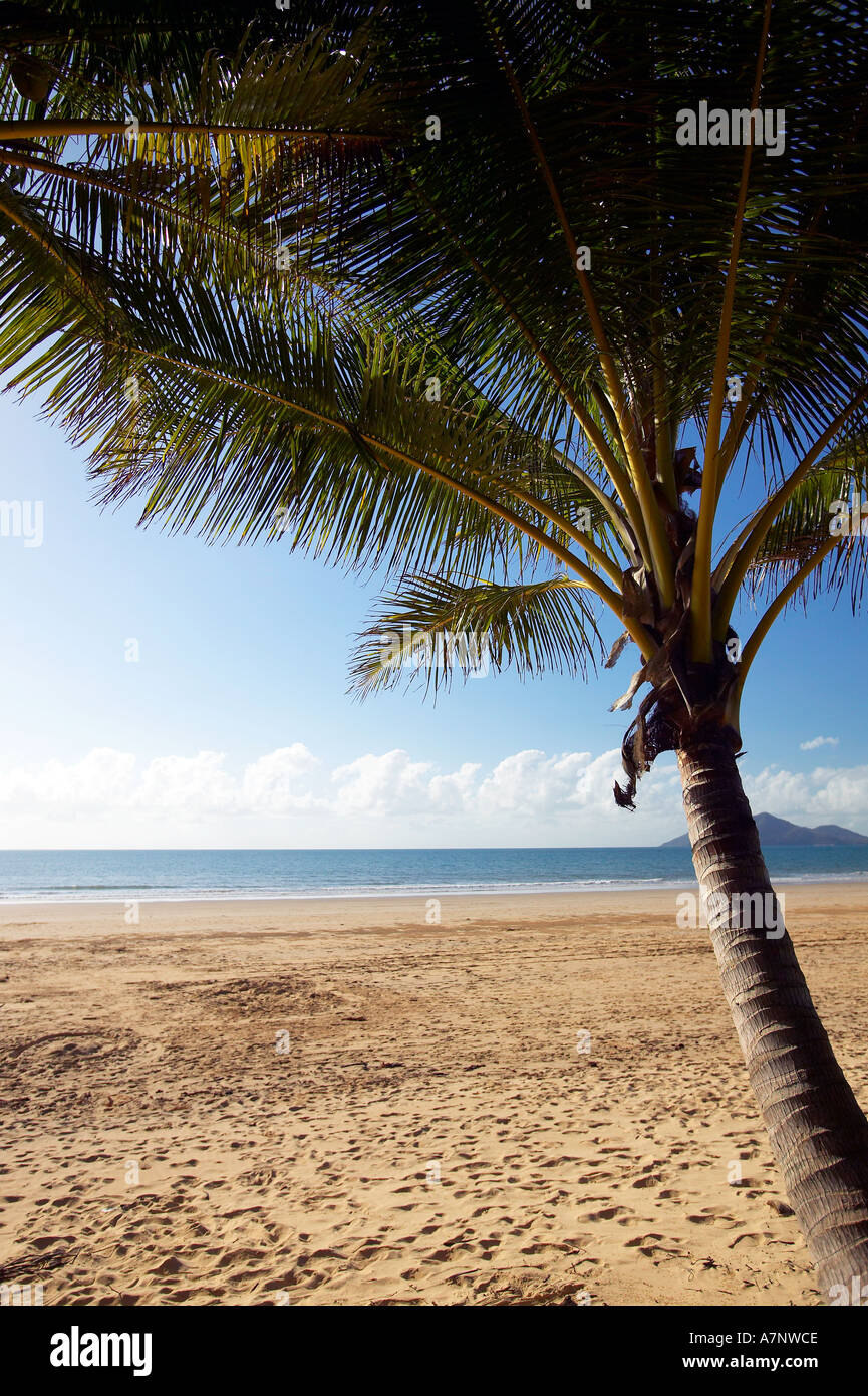 Mission beach pier hi-res stock photography and images - Alamy