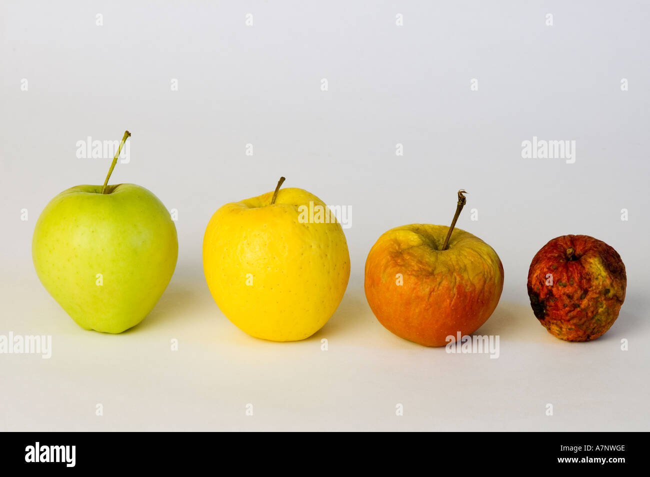 Rotting fruits process spoiling rotten hi-res stock photography and ...