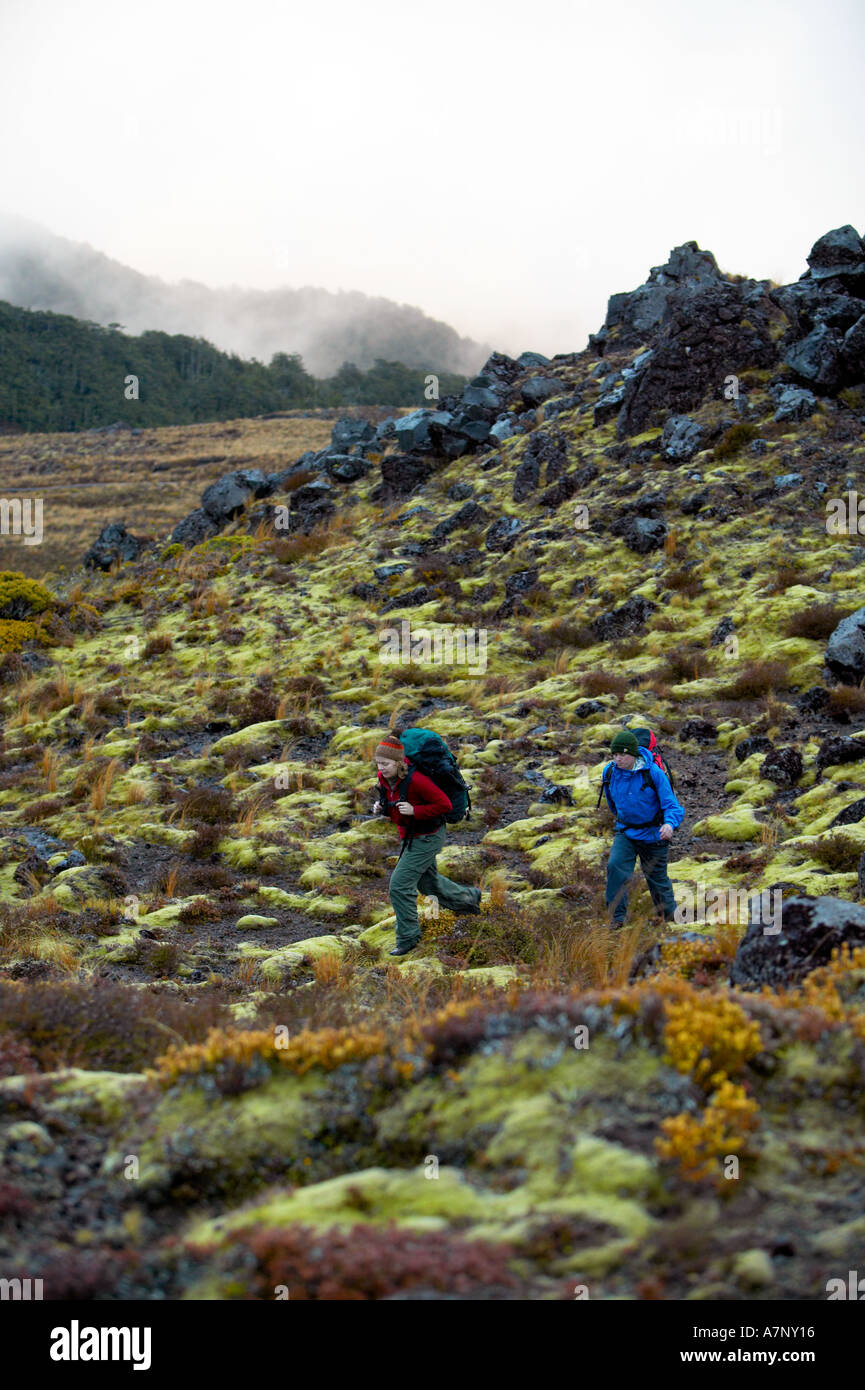 Whanganui River Ruapehu District New Zealand Stock Photo - Alamy