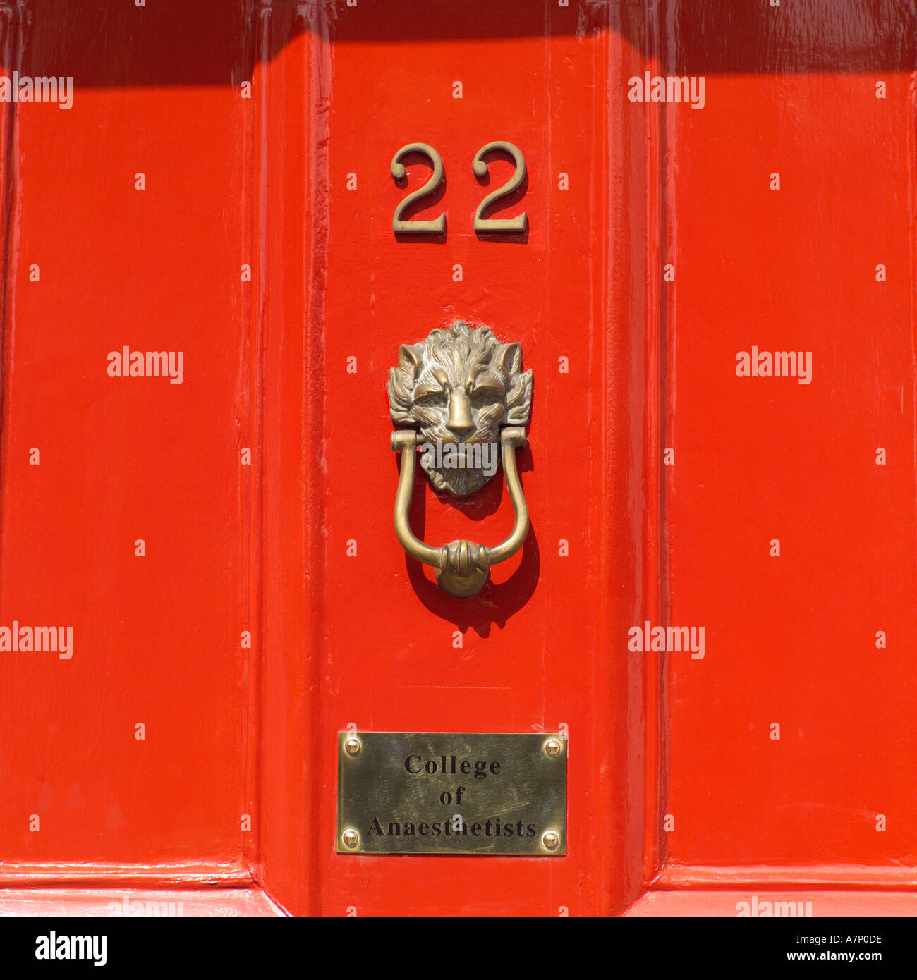 Dublin Ireland doors Stock Photo - Alamy