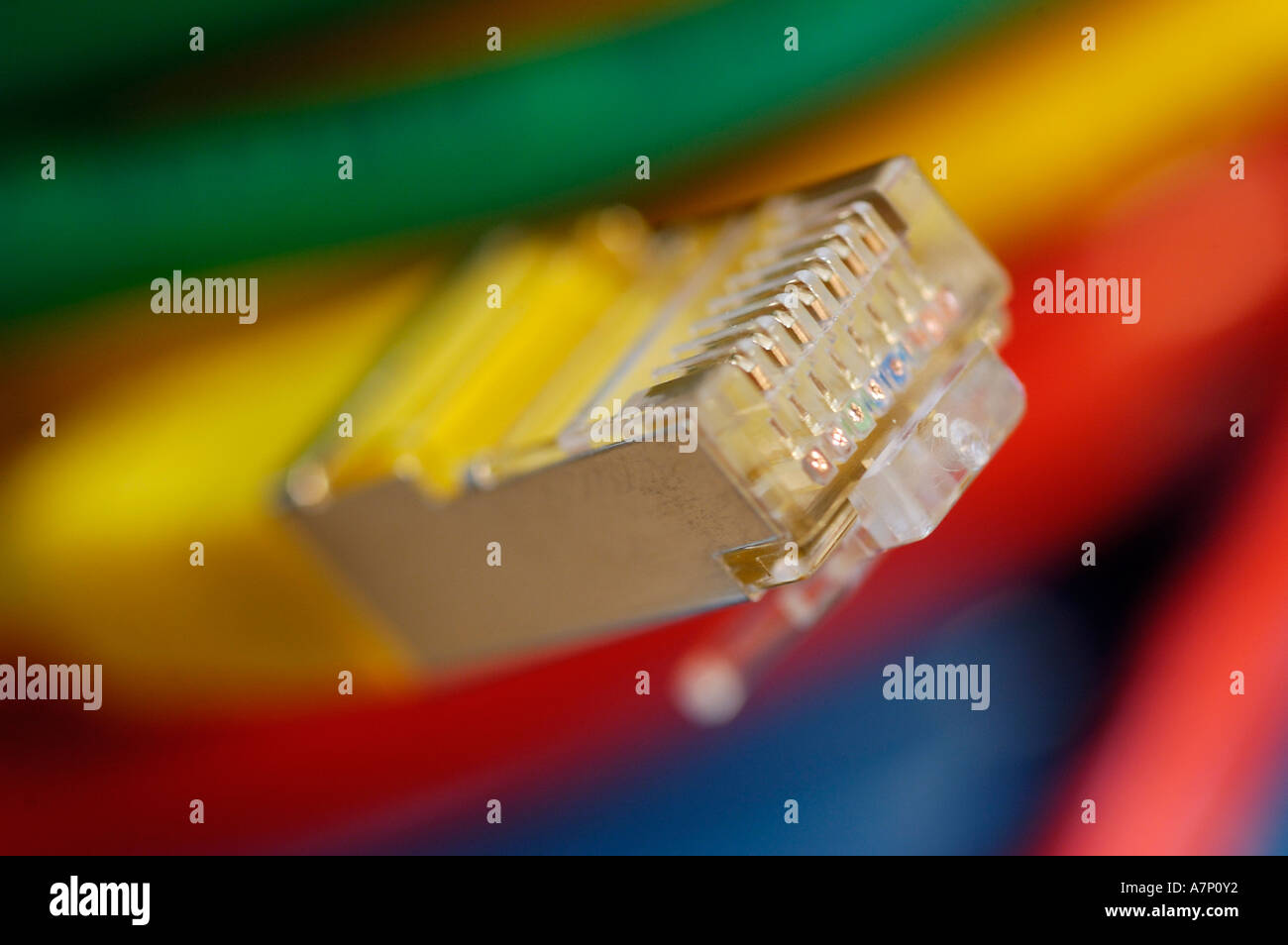 Plug of a coloured network cable for computer Stock Photo - Alamy