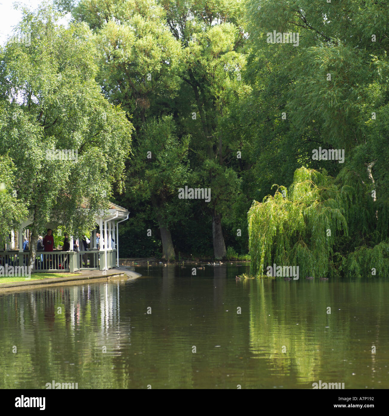 Trees around Pond Ireland Stock Photo - Alamy