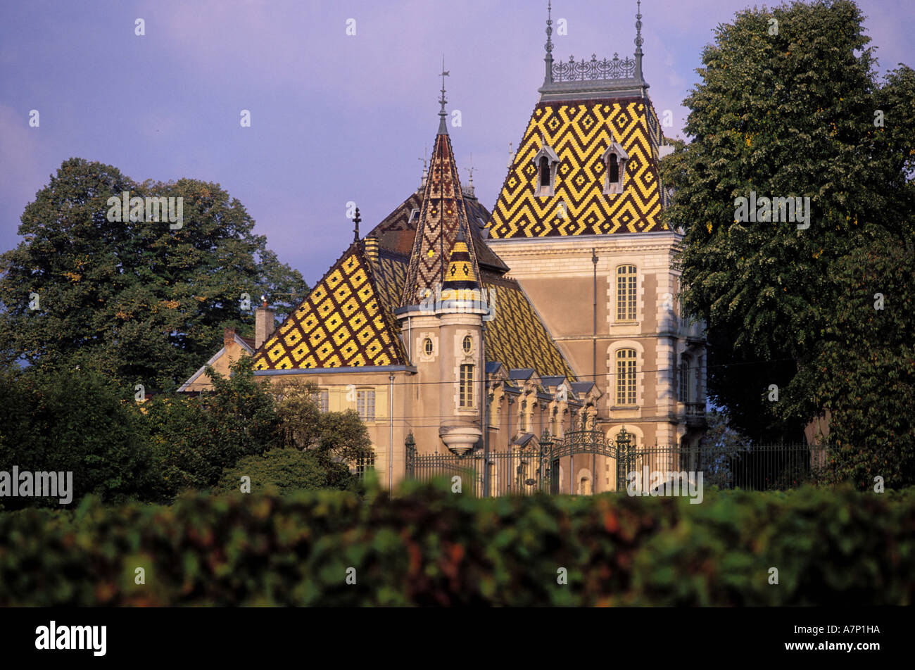 France, Côte d'Or, Burgundy, Aloxe Corton castle in the Beaune area ...