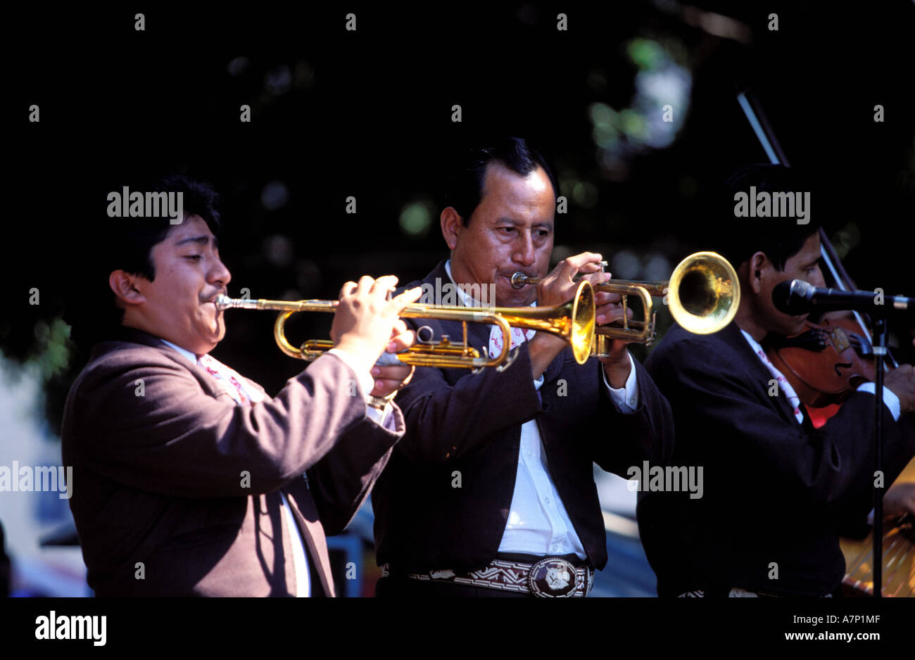 Merida yucatan instrument hi-res stock photography and images - Alamy