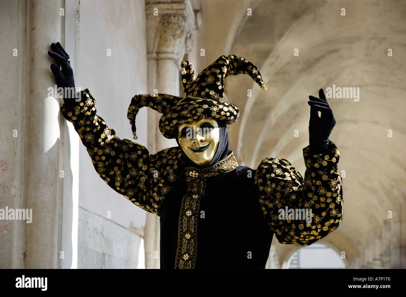Harlekin hi-res stock photography and images - Alamy