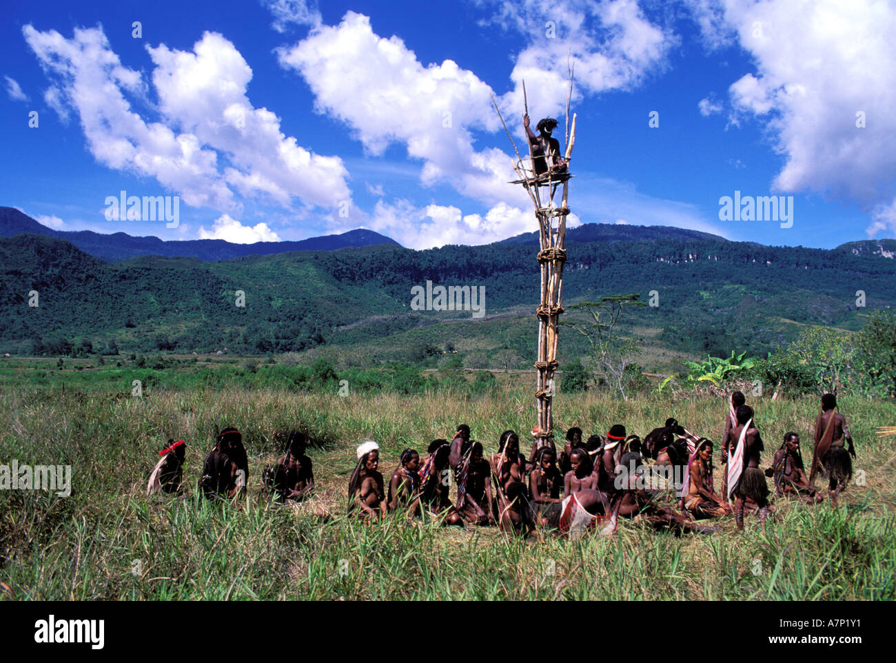 Indonesia, Papua, Irian Jaya, Wamena, Baliem Valley, Lanis tribe (Papu ...