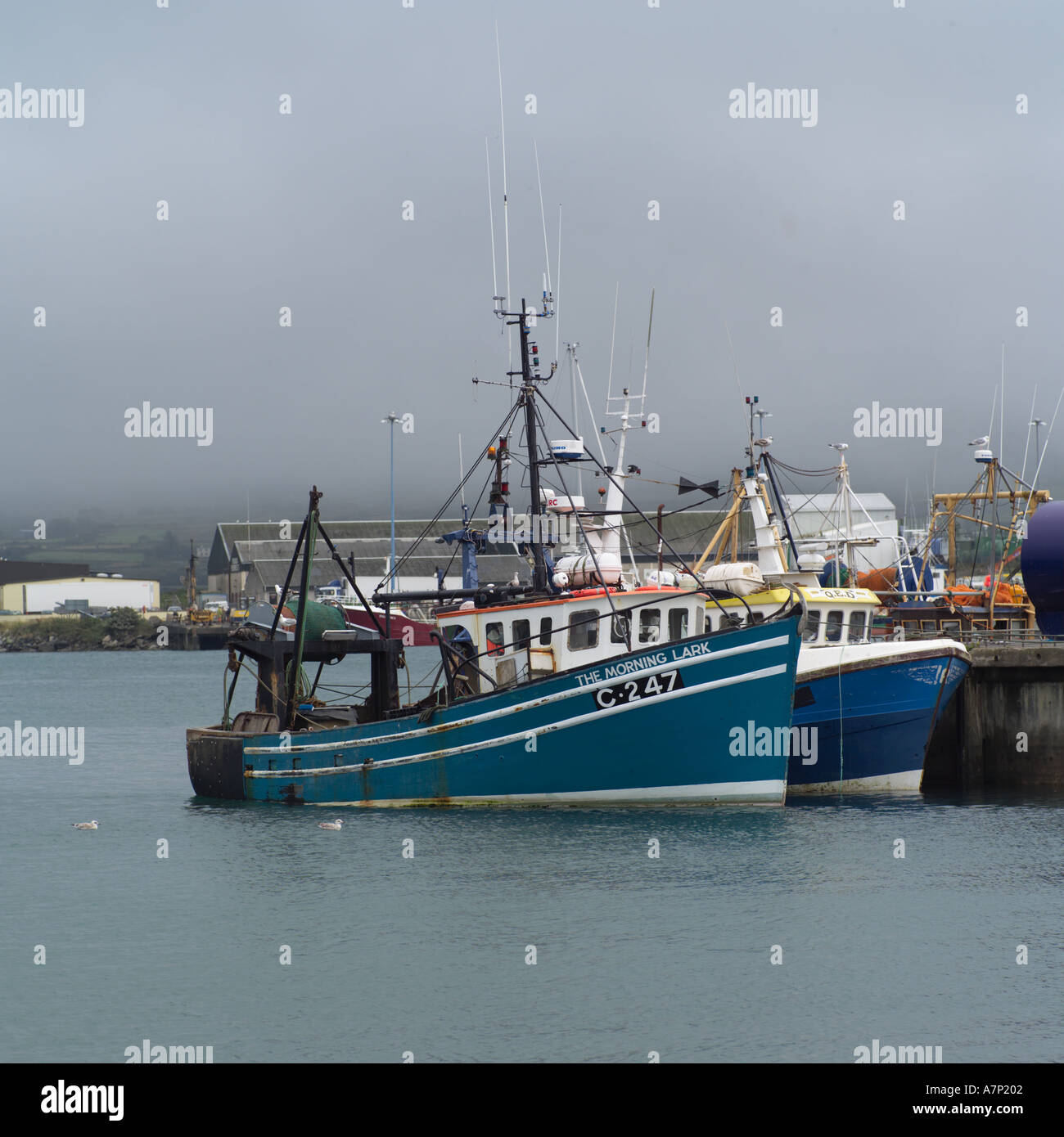 Fishing boat Ring of Kerry Ireland Stock Photo - Alamy