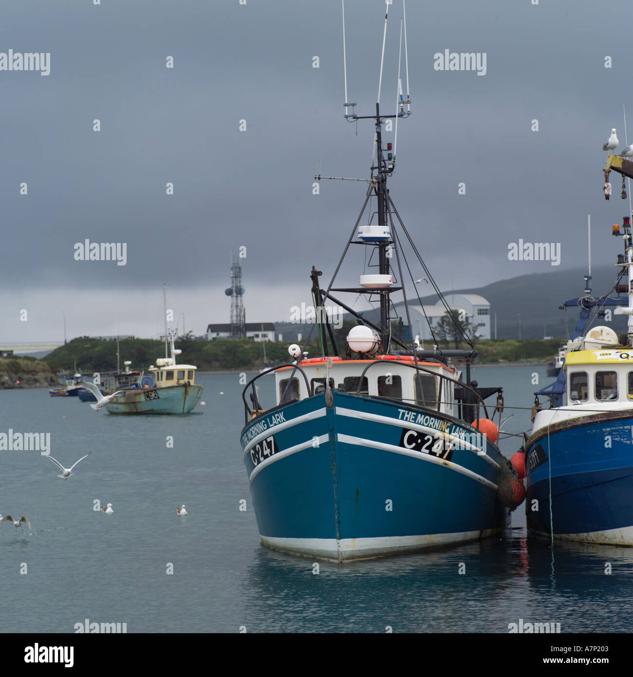 Fishing boats Ring of Kerry Ireland Stock Photo - Alamy