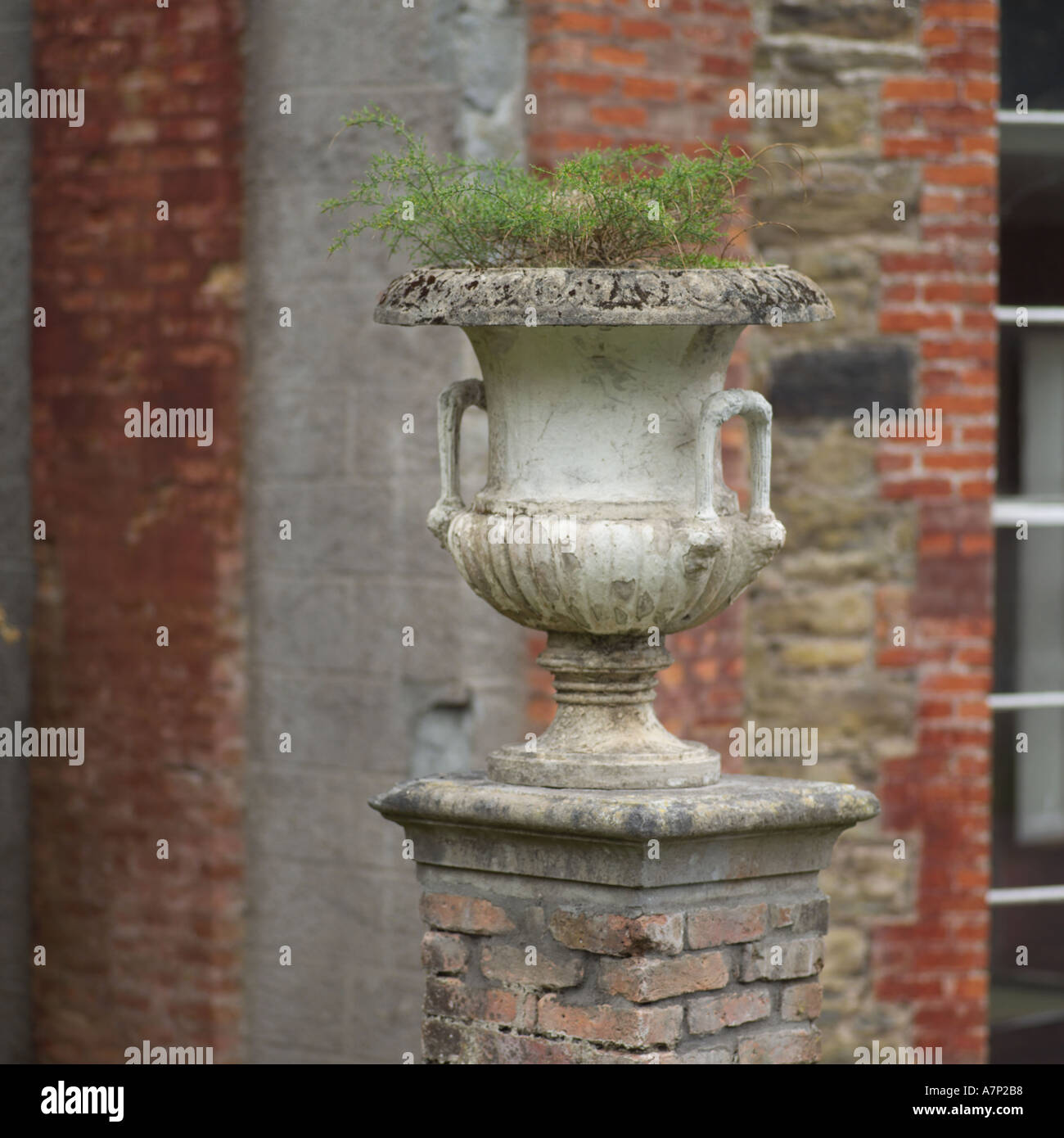 Ireland Bantry House Stock Photo - Alamy