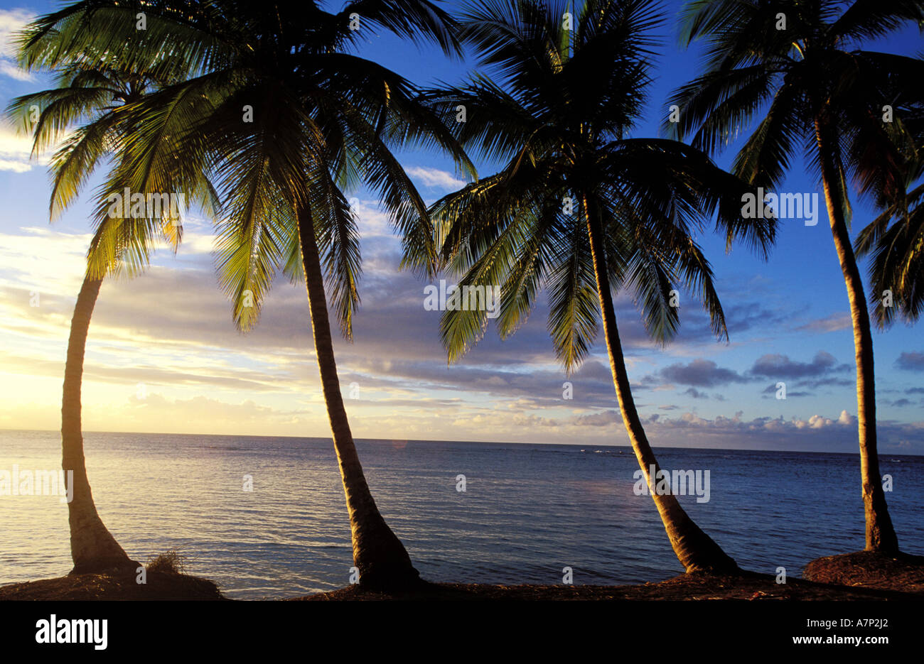 Dominican Republic, Samana province, Las Terrenas, Playa Coson beach ...