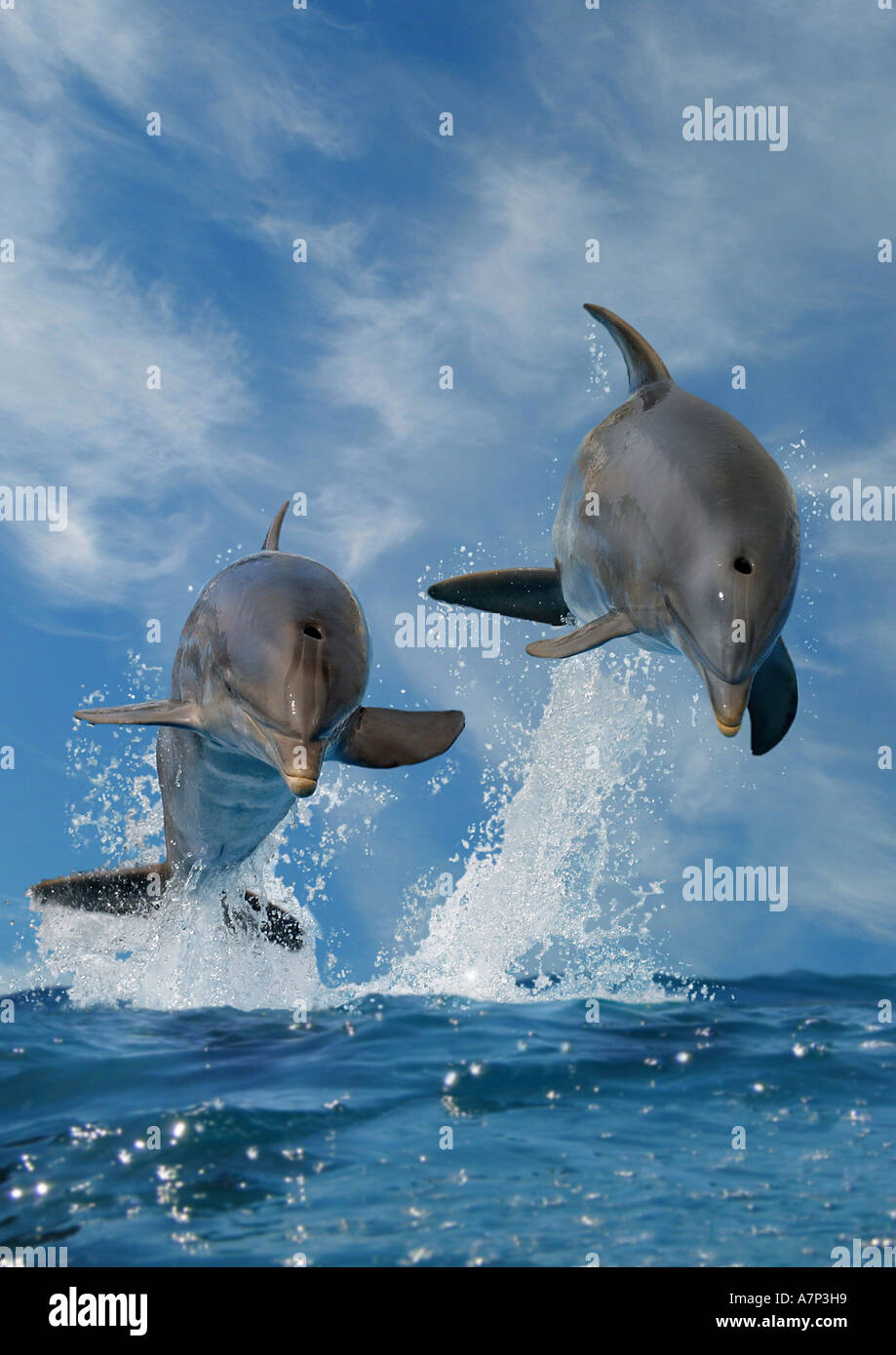 Cirrus duo hi-res stock photography and images - Alamy