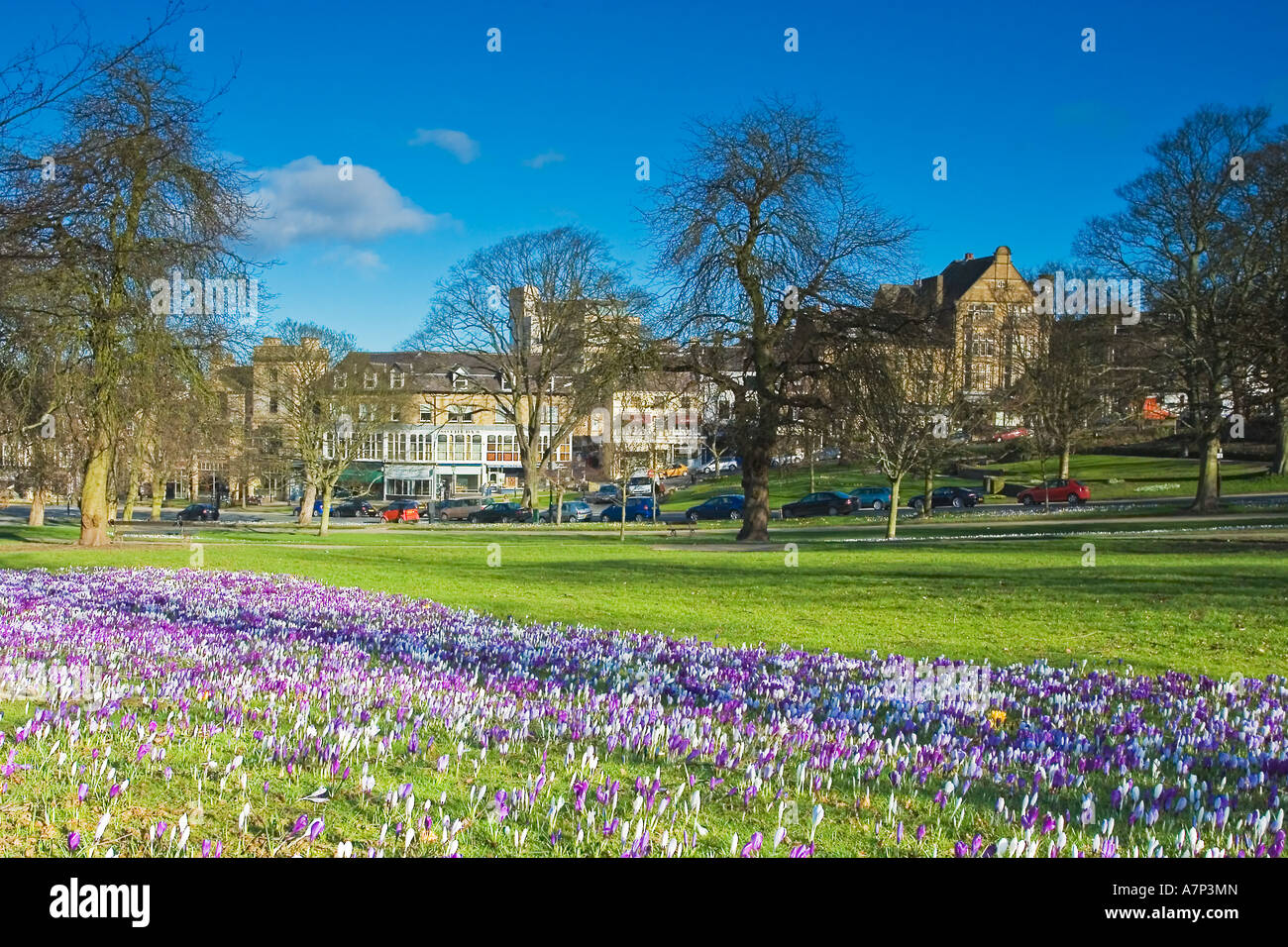 West park stray harrogate hi-res stock photography and images - Alamy